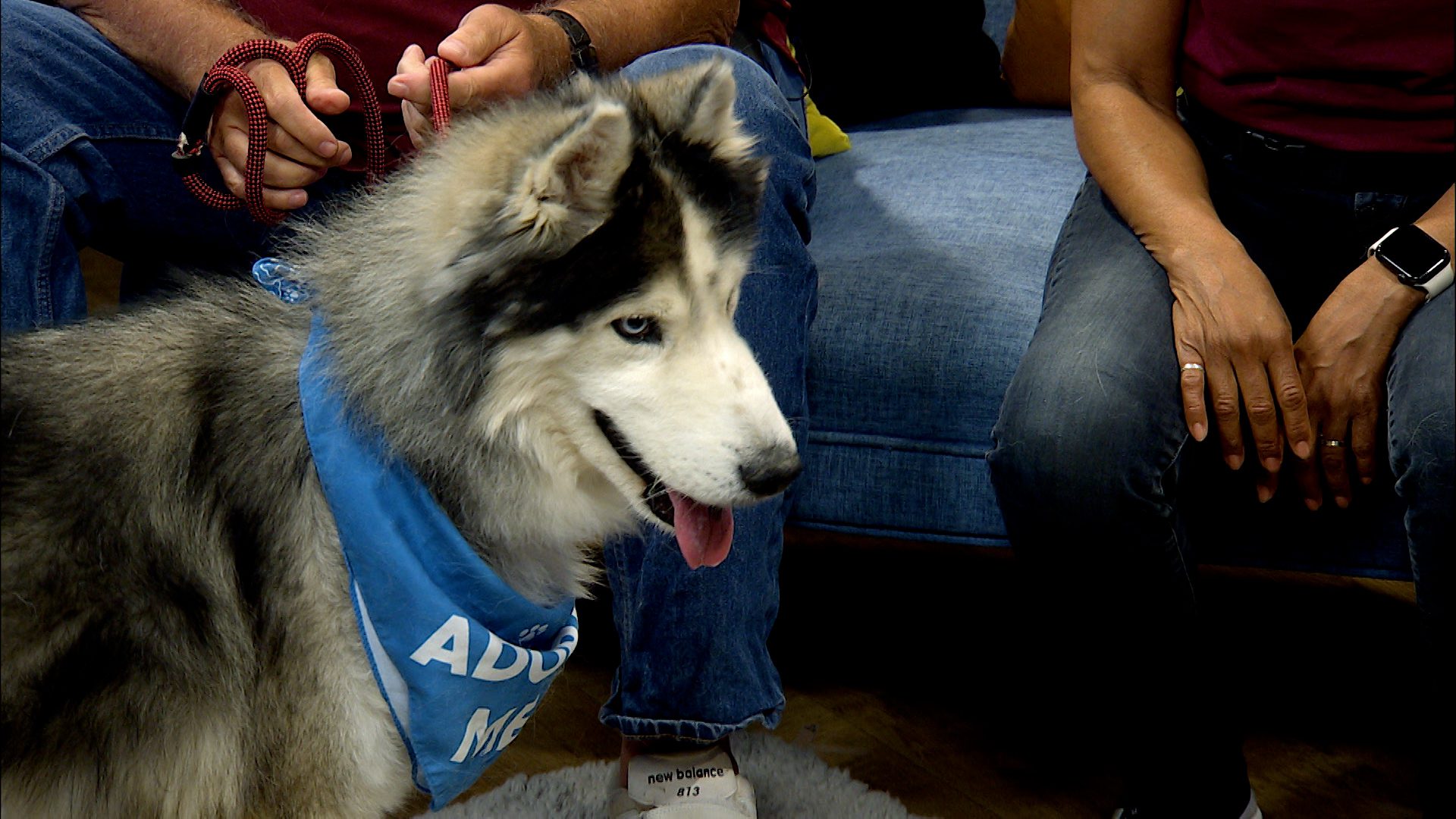 SCVTV.com | Community Corner: SCVTV’s Community Corner: Nanook the ...