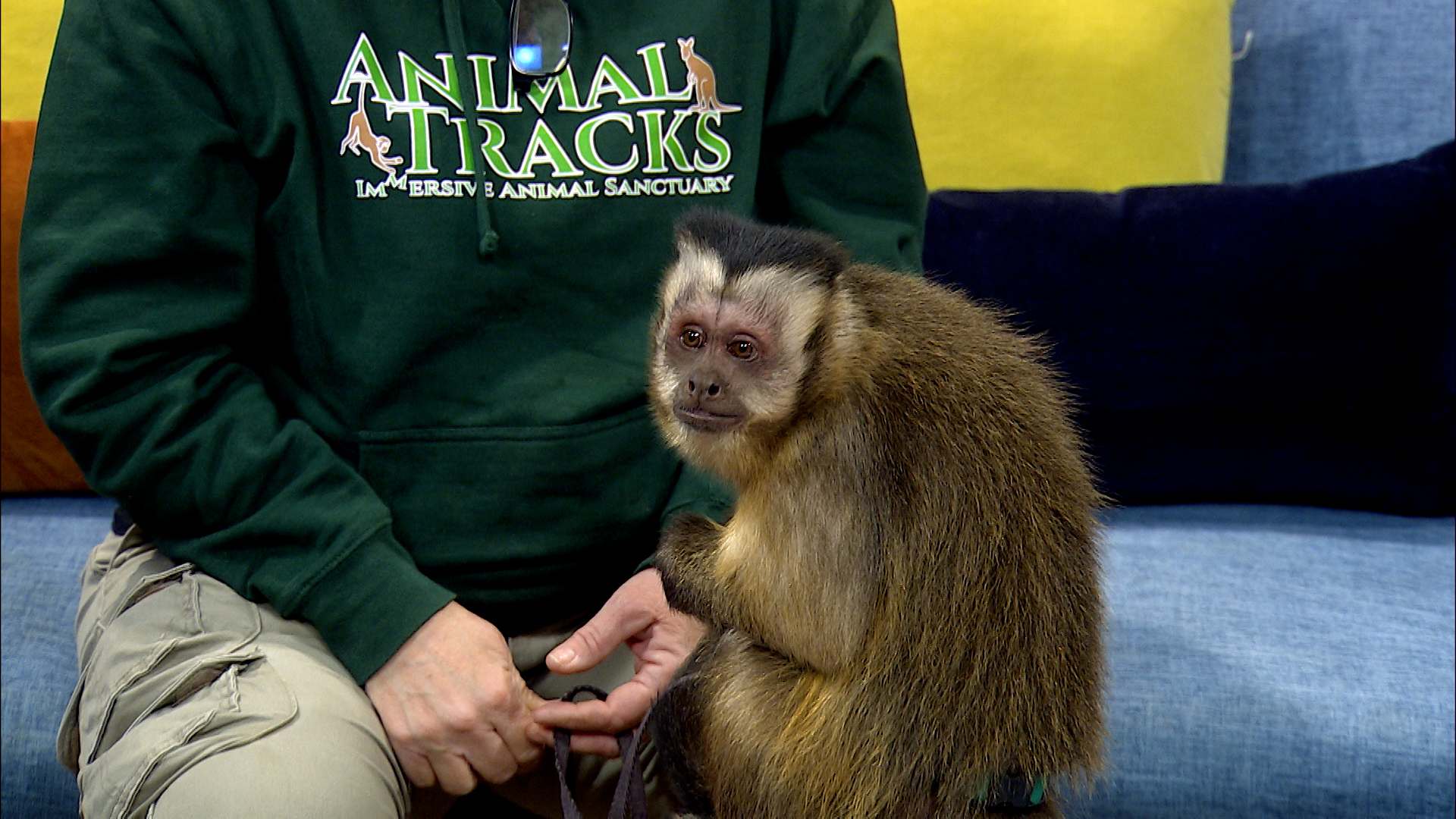 SCVTV.com | Community Corner: Animal Tracks’ Executive Director and Boo ...